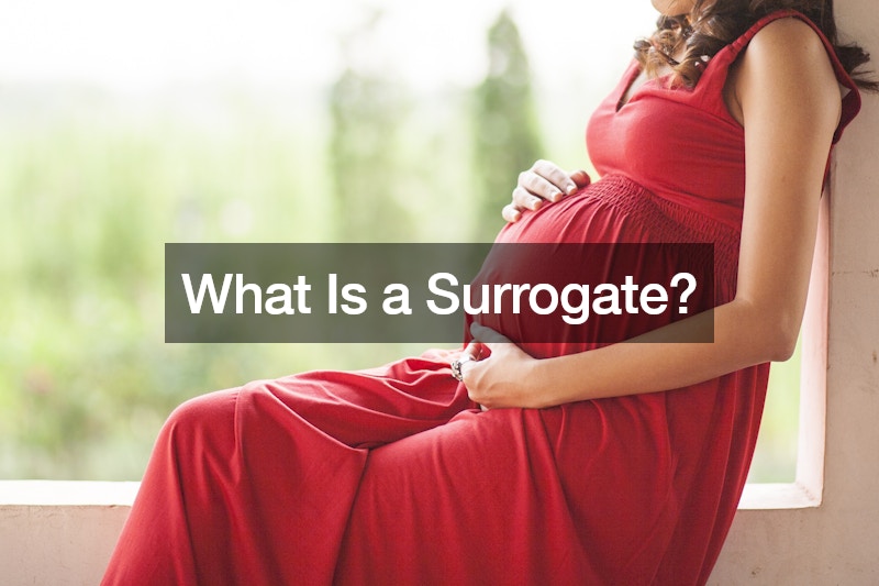 What Is a Surrogate? - Web Lib
